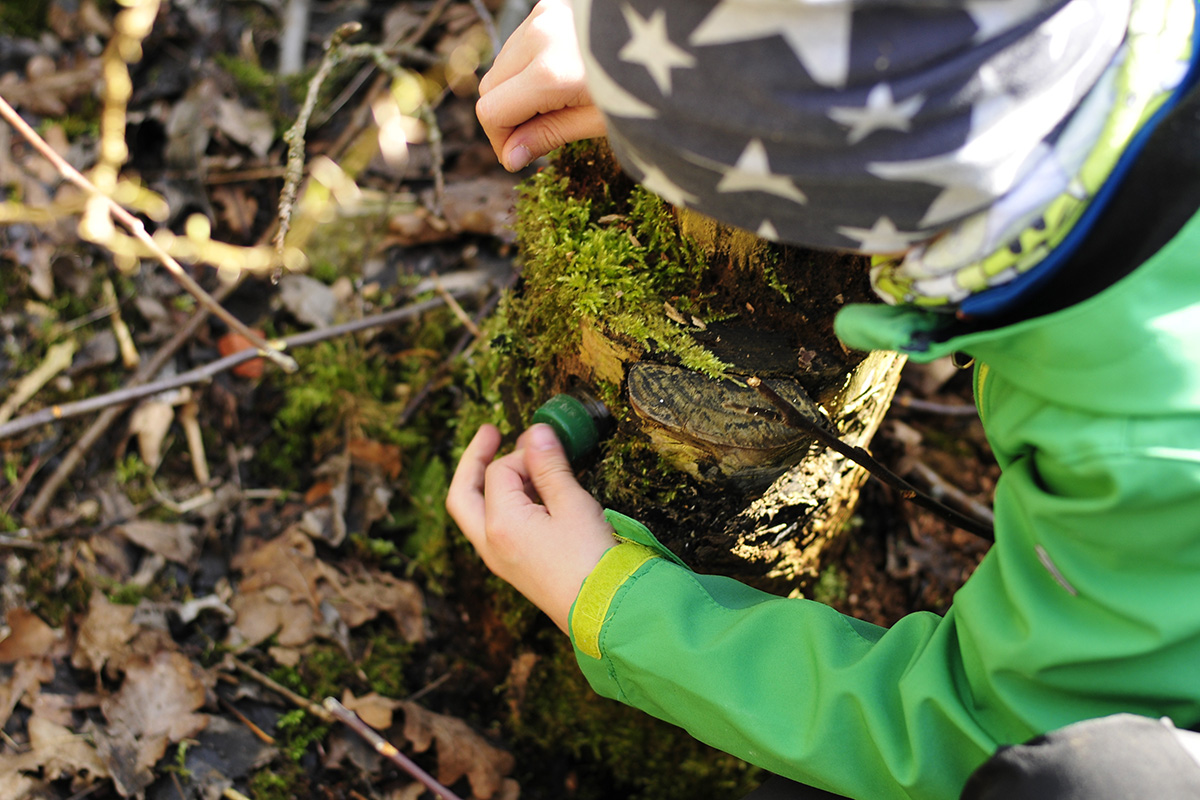 Geocaching: Nature Scavenger Hunt - Park and Recreation - Prince ...